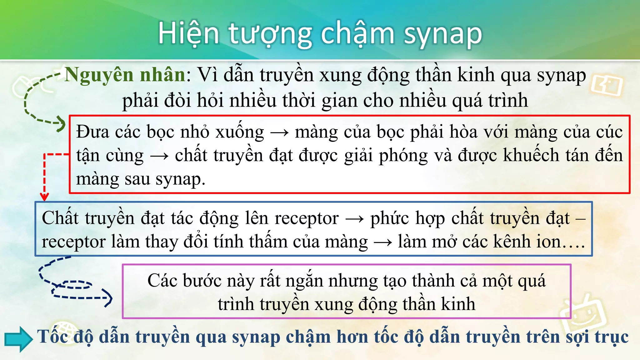 Sinh Lý Neuron - Thần Kinh | PPTX