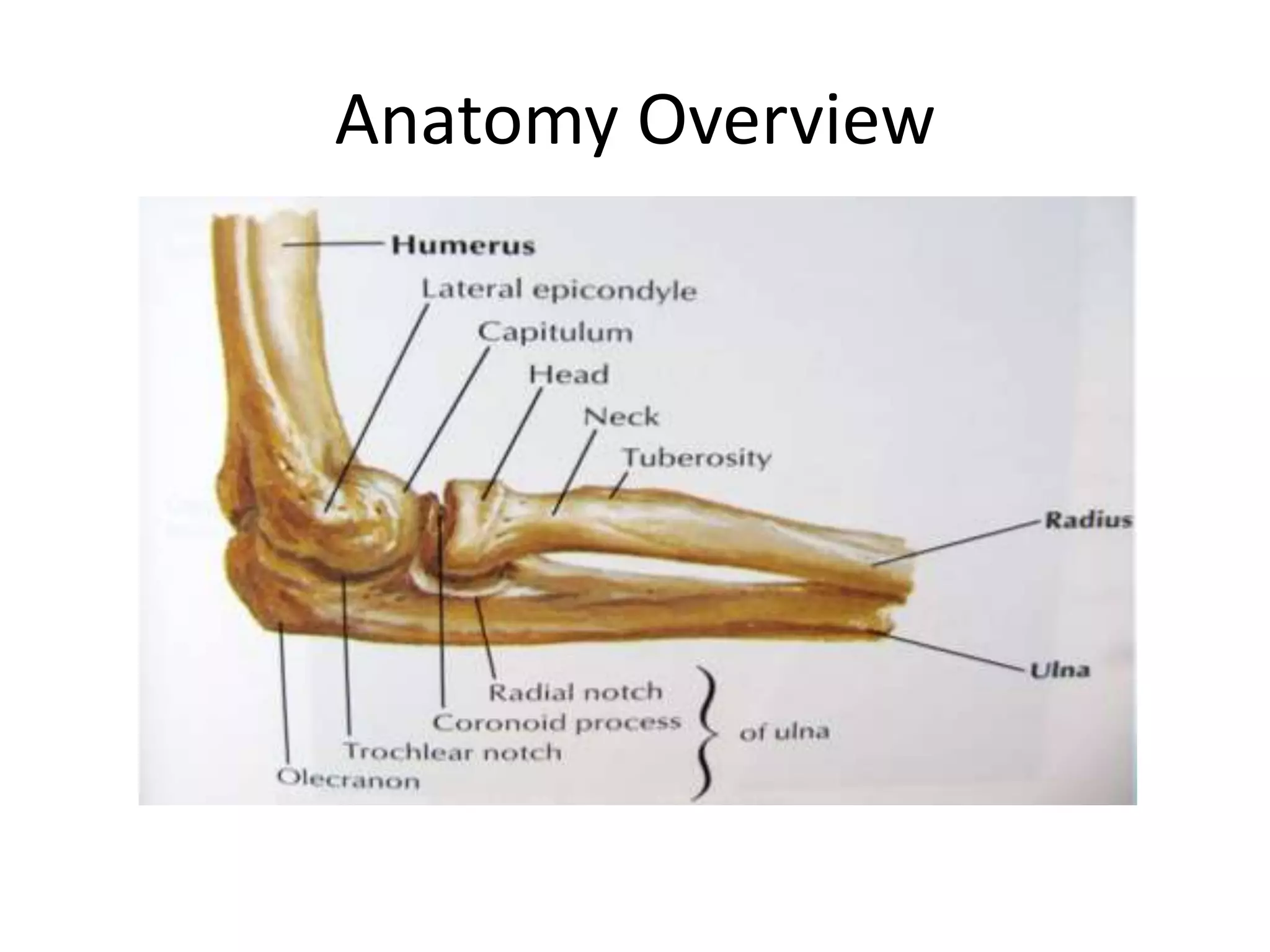 Carrying Angle | PPTX