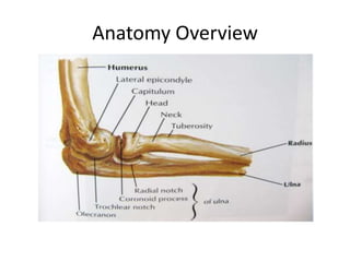Carrying Angle | PPTX