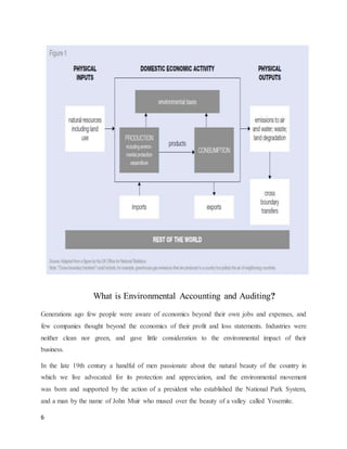 Environmental Audit and Accounting | DOCX