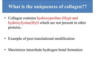 SM.Collagen.pptx