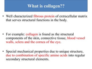 SM.Collagen.pptx