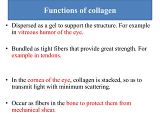SM.Collagen.pptx