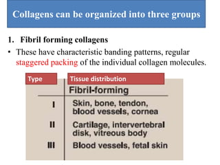 SM.Collagen.pptx