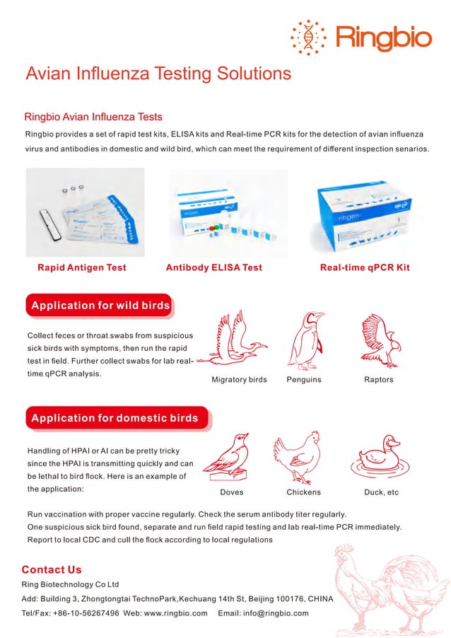 Ringbio Bird flu avian influenza test solutions | PDF