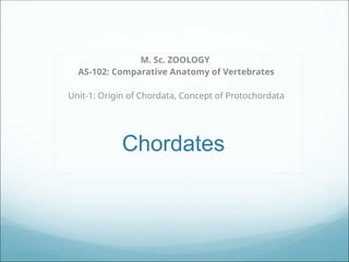 SM-Chordates, protochordates.ppt core paper | PPT