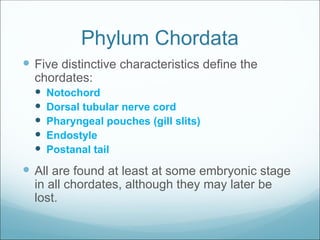 SM-Chordates, protochordates.ppt core paper | PPT
