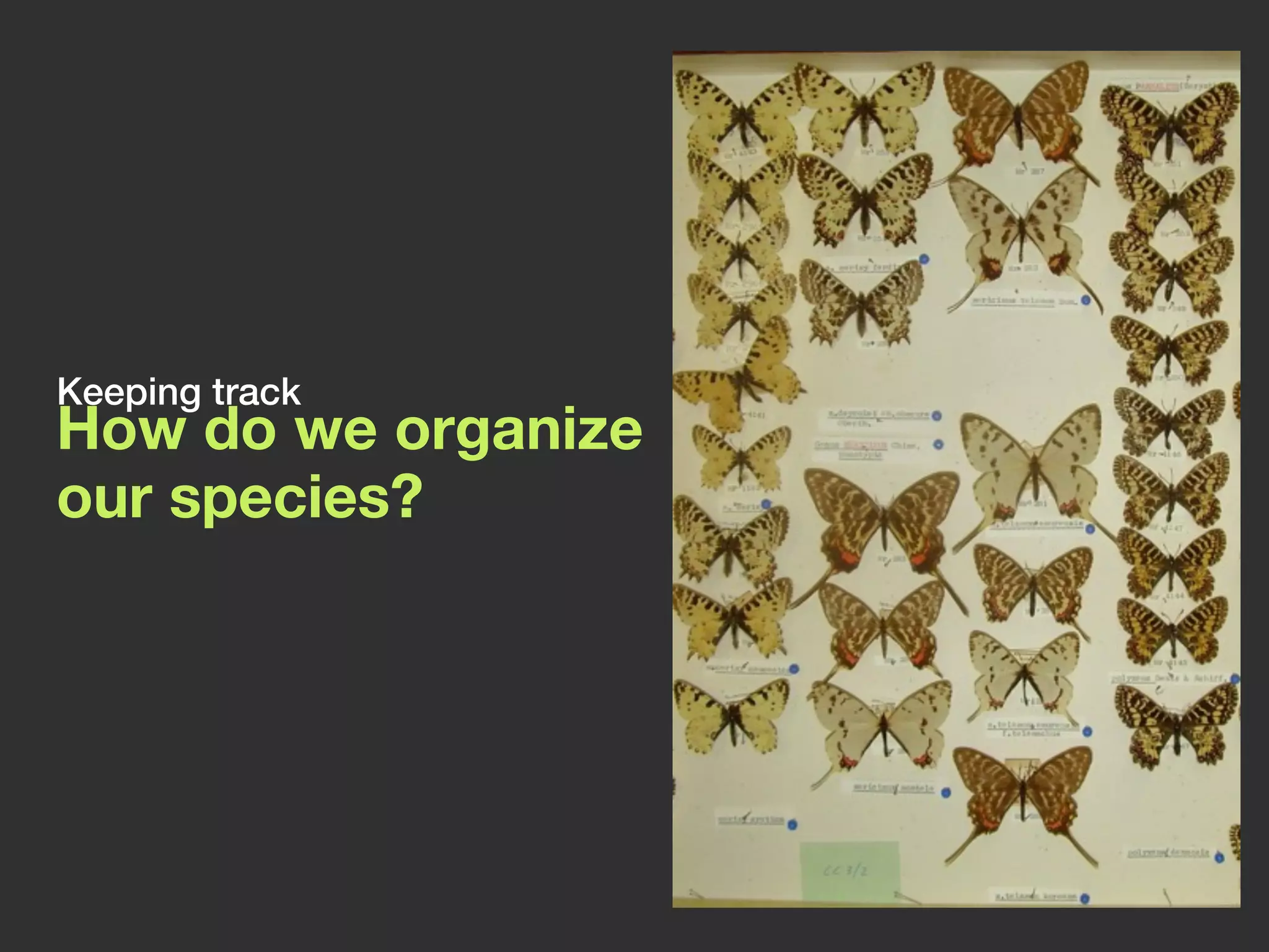 Intro to biodiversity and taxonomy | KEY