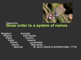 Intro to biodiversity and taxonomy | KEY