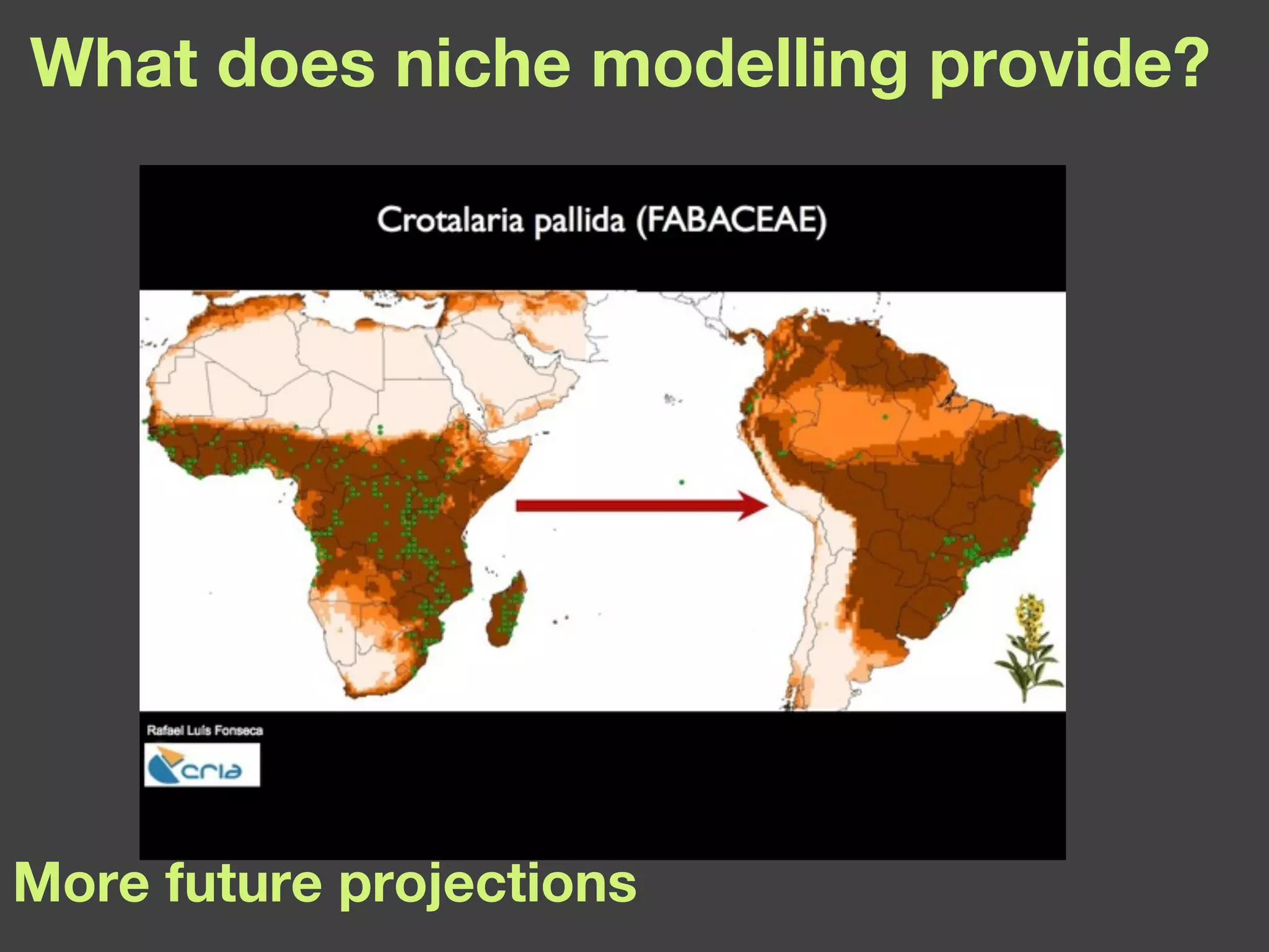 A brief introduction to niche modelling | KEY