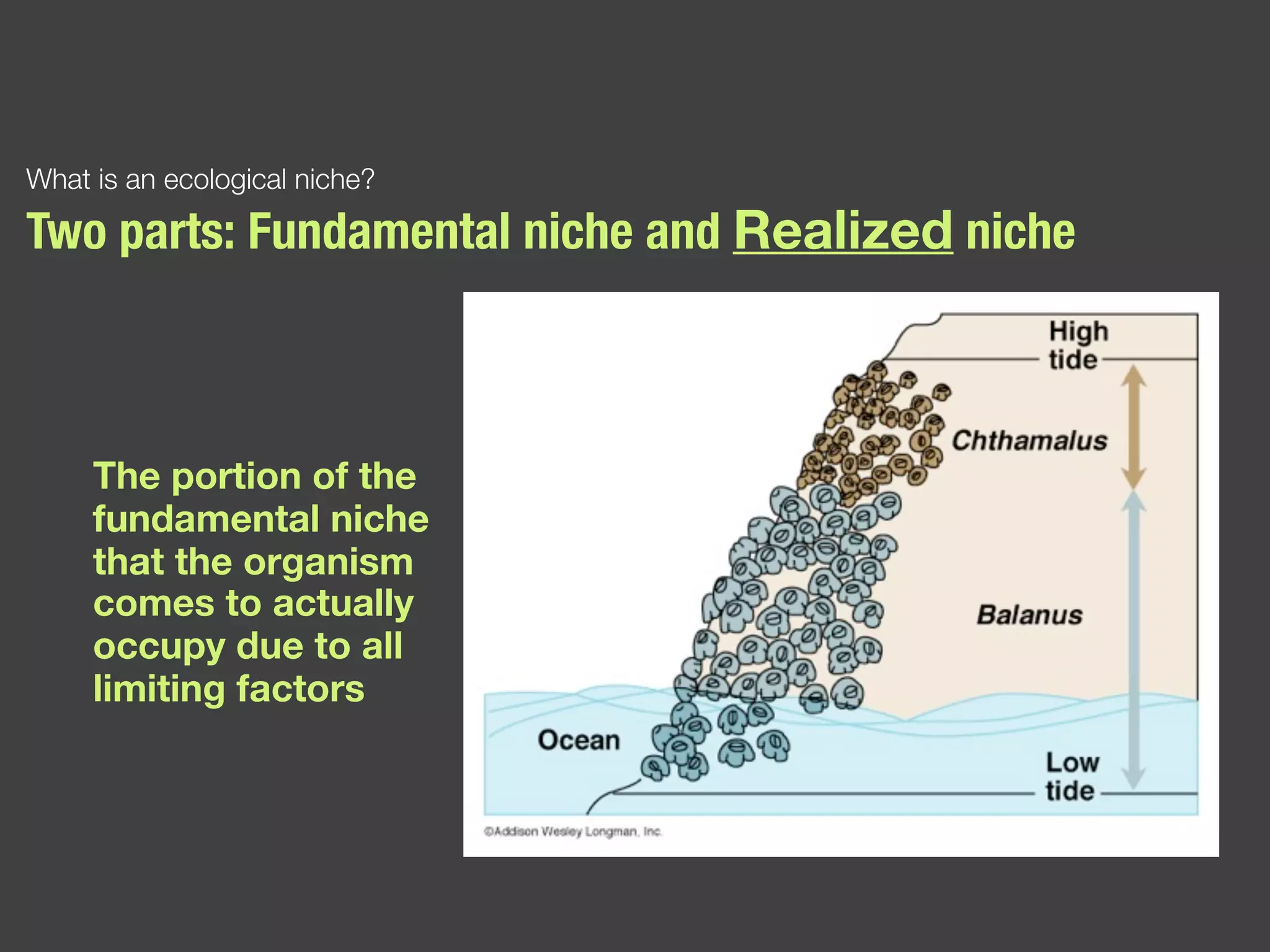 A brief introduction to niche modelling | KEY