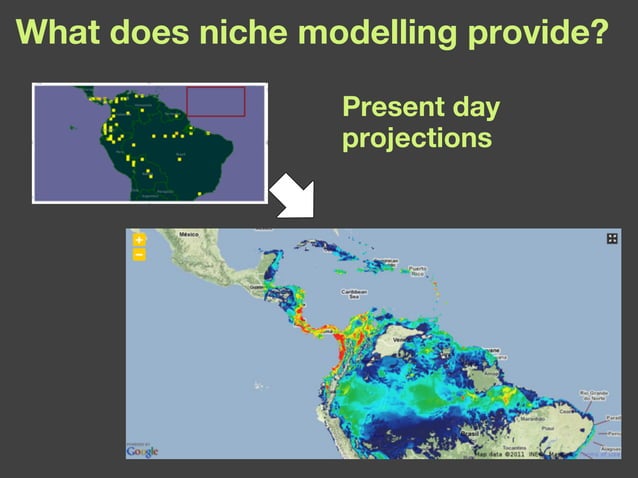A brief introduction to niche modelling | KEY | Geography | Science