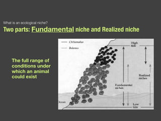 A brief introduction to niche modelling | KEY