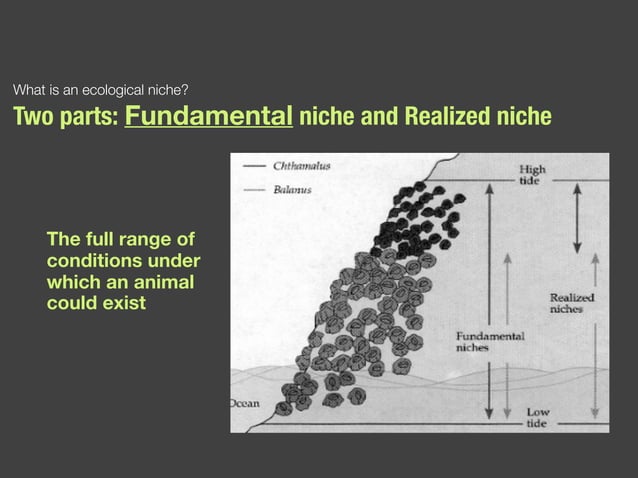 A brief introduction to niche modelling | PPT