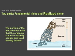 A brief introduction to niche modelling | KEY