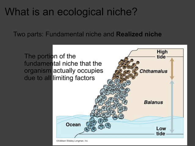 A brief introduction to niche modelling | KEY | Geography | Science