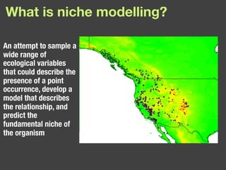 A brief introduction to niche modelling | KEY