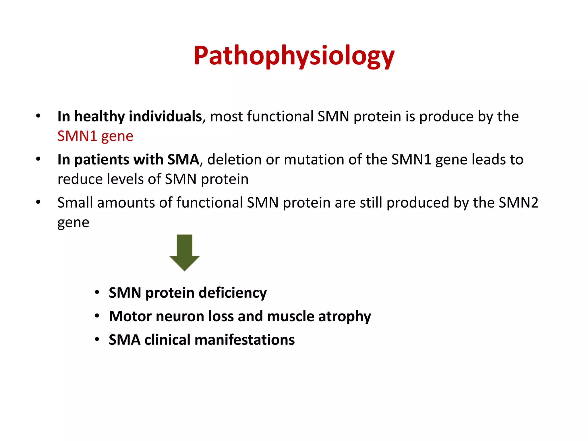 SMA.pdf
