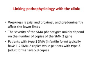 SMA.pdf