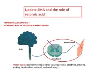 SMA.pdf | Physical Therapy | Wellness