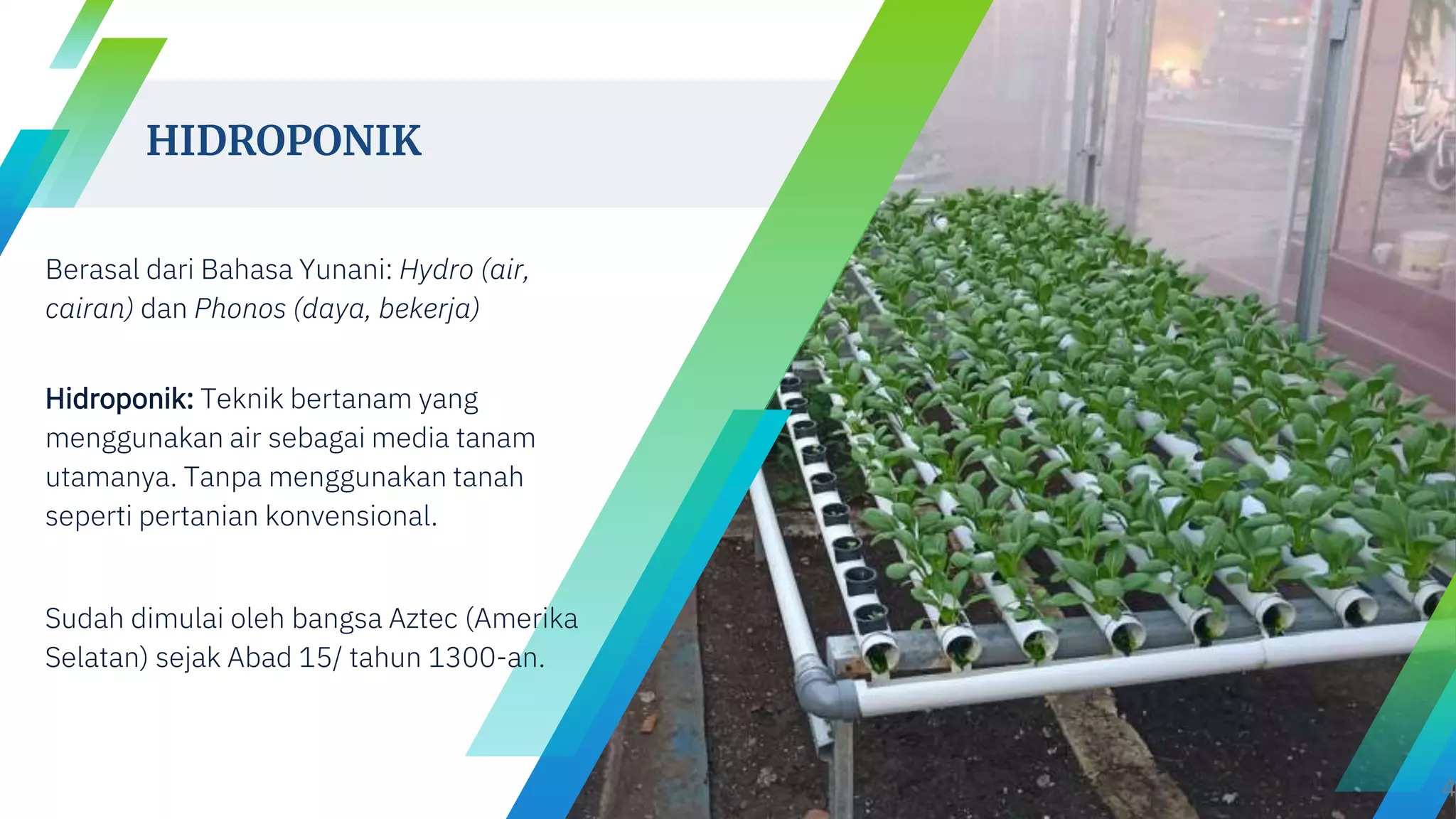 Pengantar Hidroponik.pptx