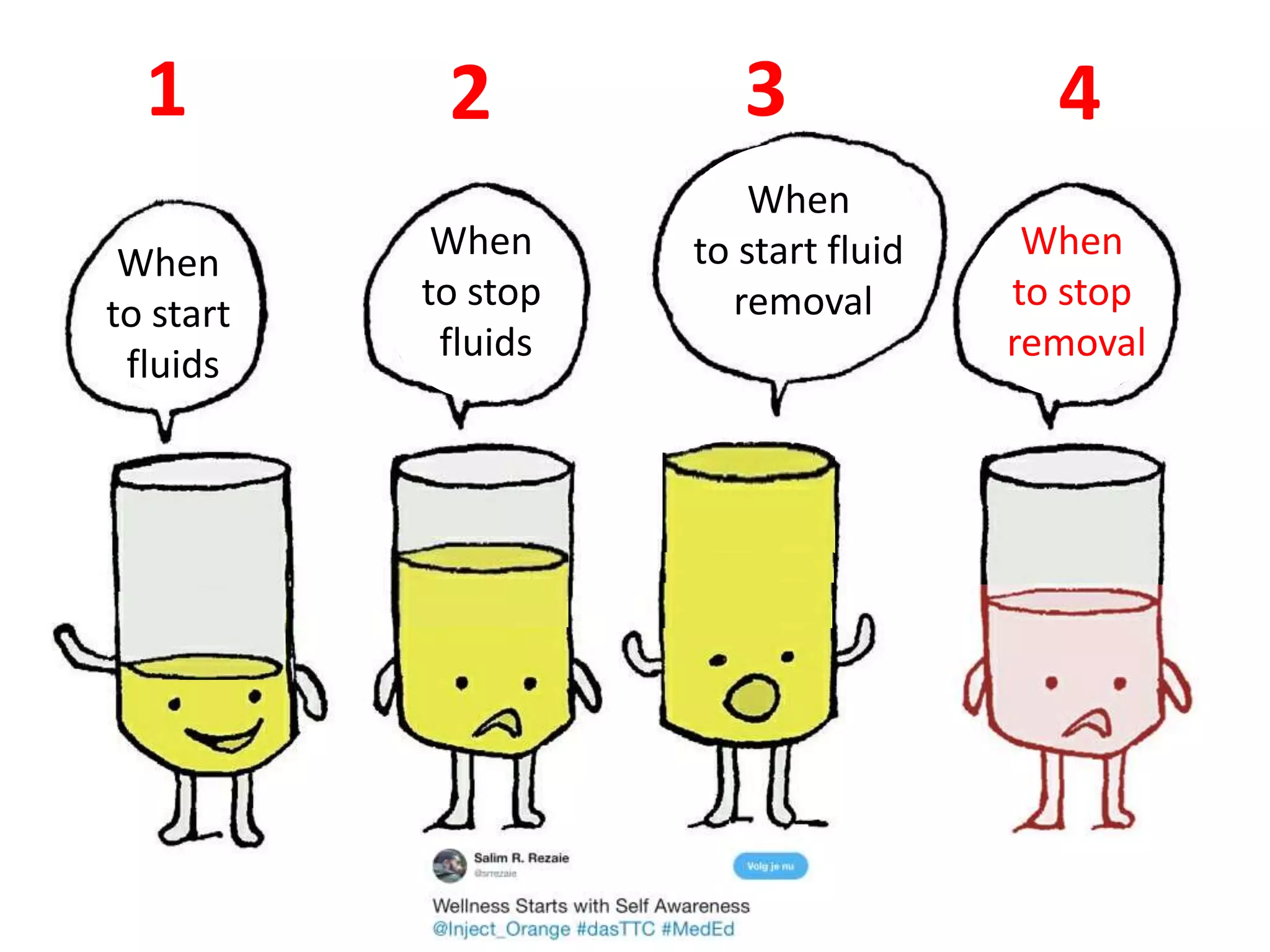 The four phases of intravenous fluid therapy: Manu Malbrain | PPT