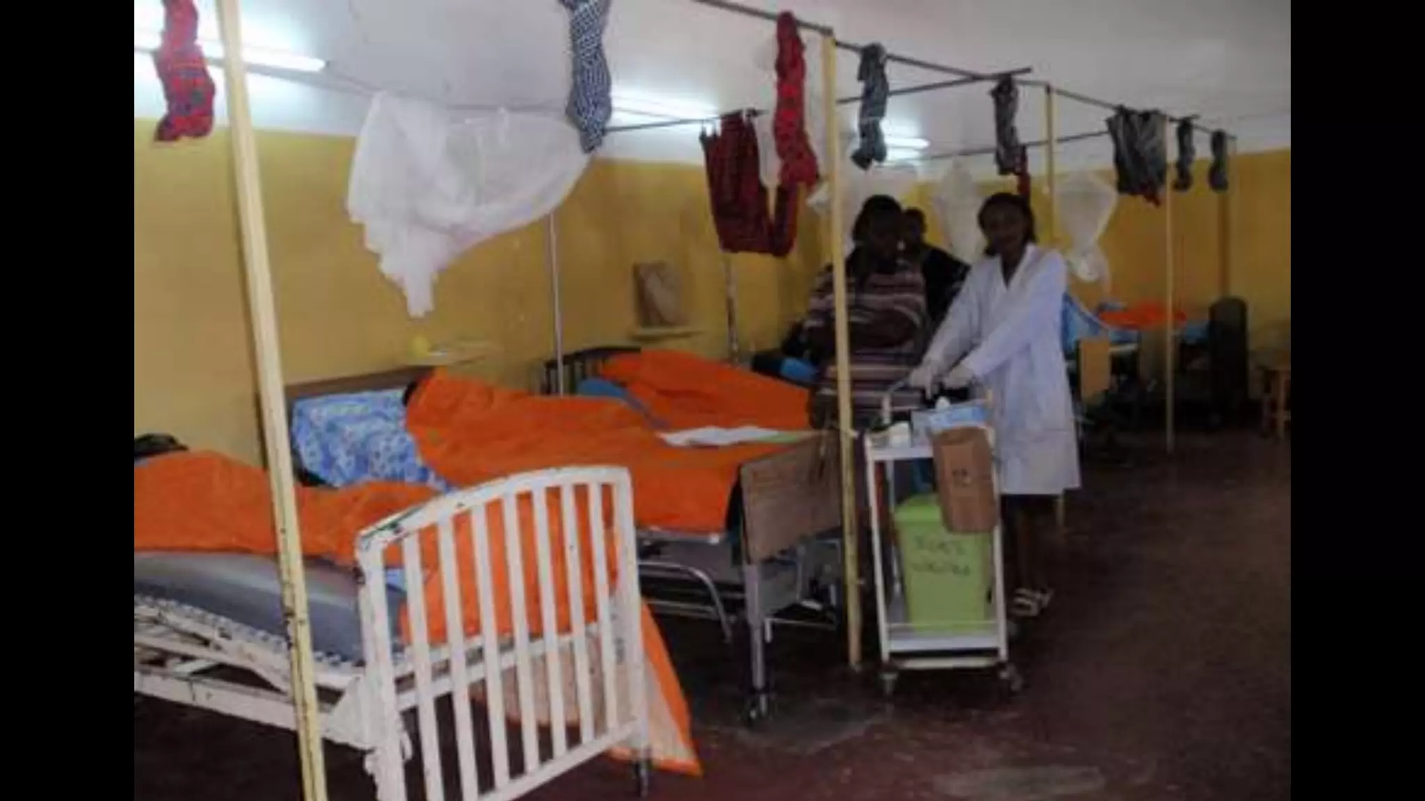 Training in Ultrasound in resource limited settings: Trish Henwood | PPT