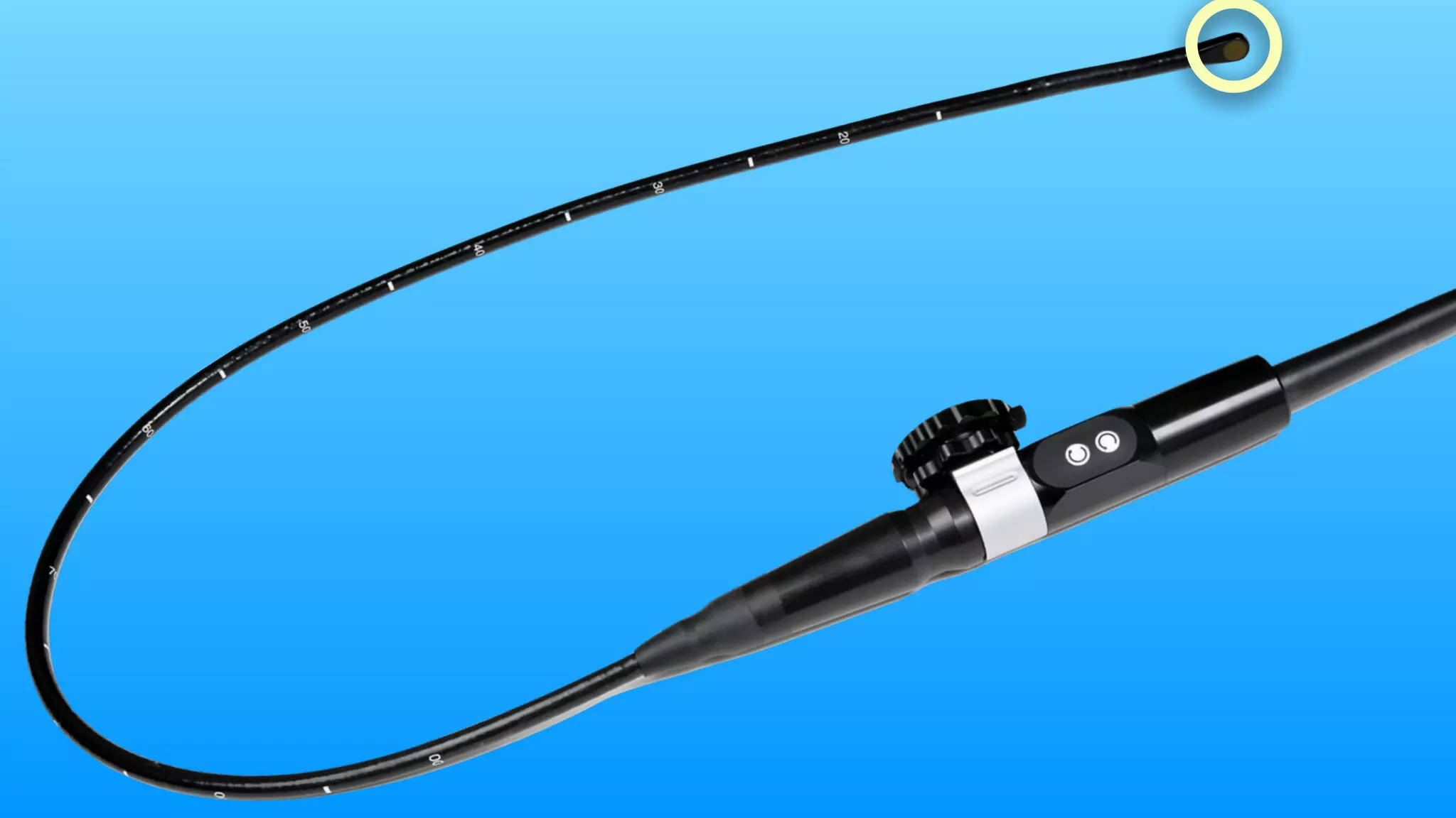 Airway Ultrasound: Confirming Endotracheal Tube Placement | PDF