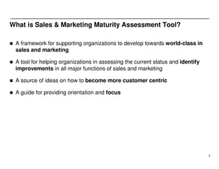 Sales & Marketing Maturity Assessment Tool | PDF