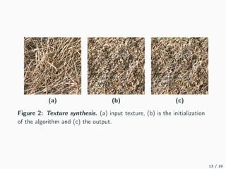 Macrocanonical models for texture synthesis | PPT
