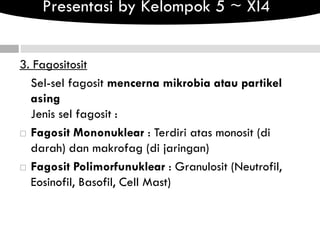 Sistem pertahanan tubuh manusia : Mekanisme Pertahanan Tubuh dan Jenis ...