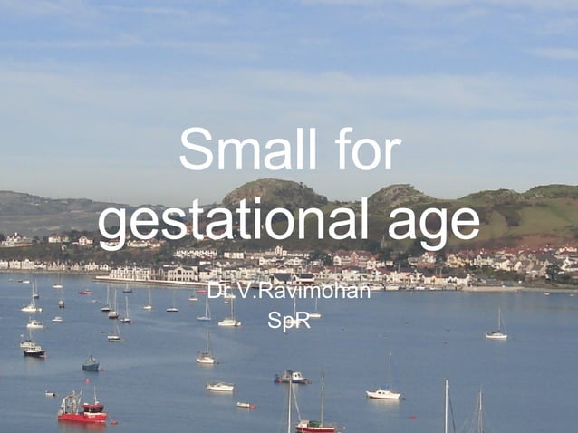 Small For Gestational Age | PPT