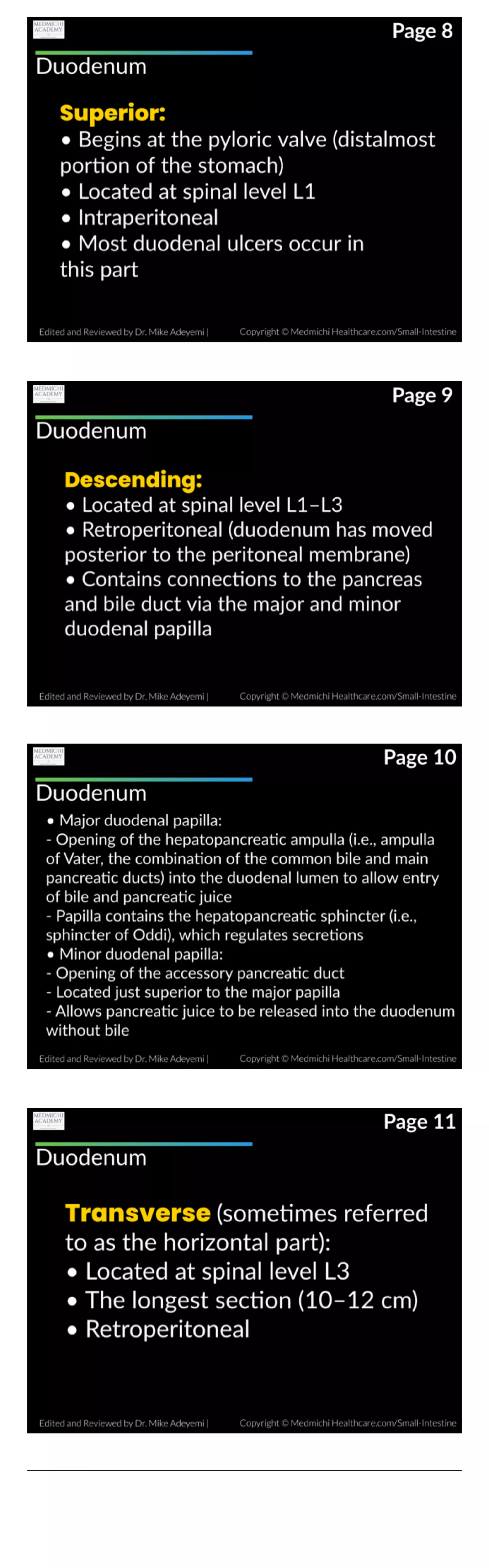 small-intestine-anatomy-.pdf