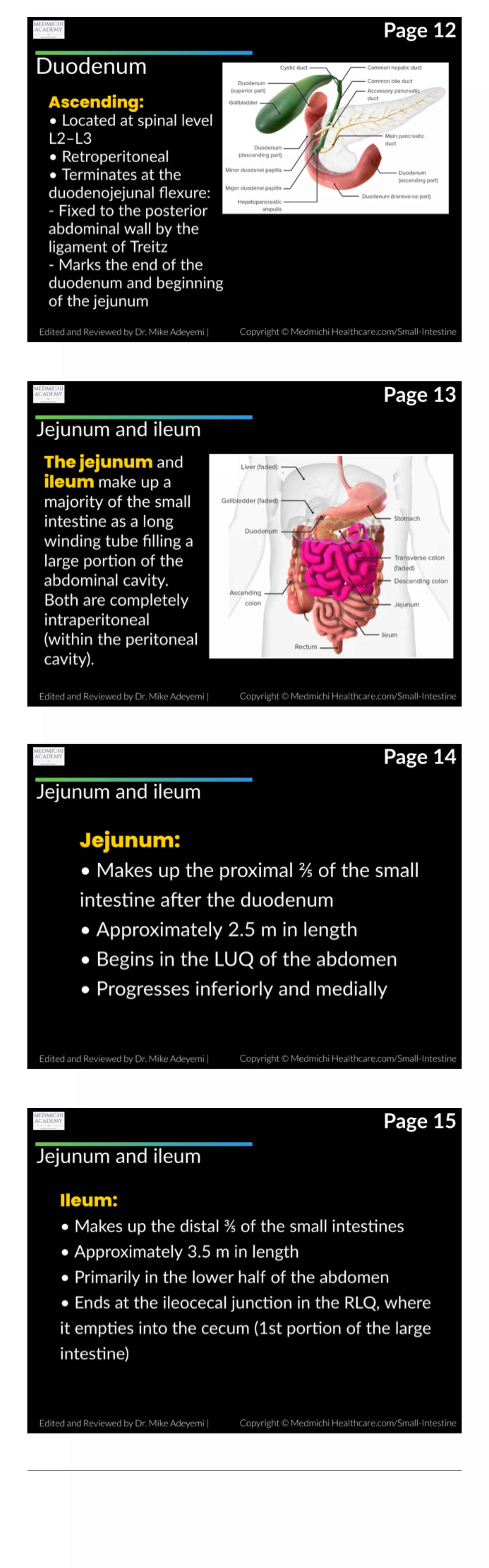 small-intestine-anatomy-.pdf