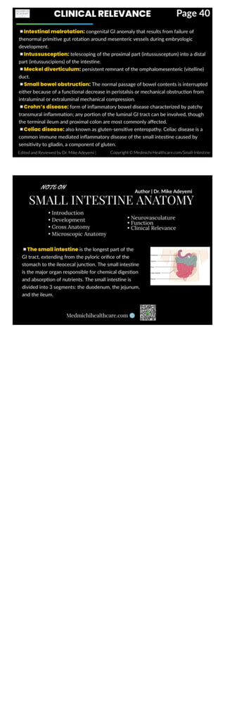 small-intestine-anatomy-.pdf