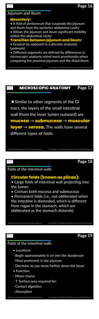 small-intestine-anatomy-.pdf
