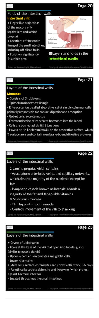 small-intestine-anatomy-.pdf