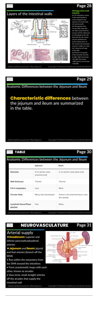 small-intestine-anatomy-.pdf