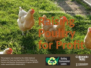 Small-Scale-Poultry-Final.pptx What you need to know before you get ...