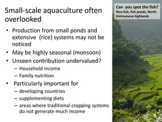 Small scale aquaculture: diversifying livelihoods and adding value to ...