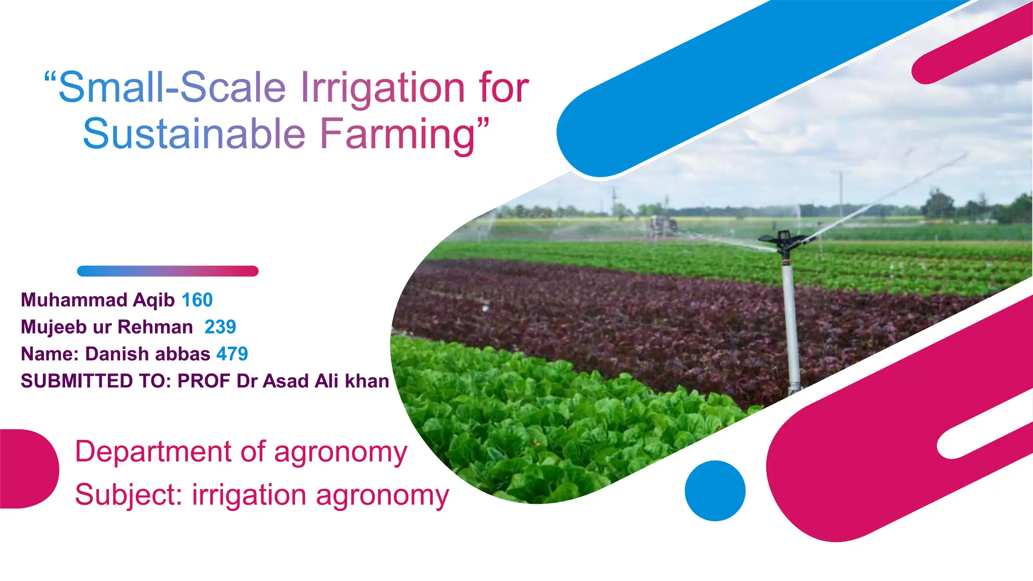 Small-Scale Irrigation for Sustainable Farming 160, 239, 479.pptx