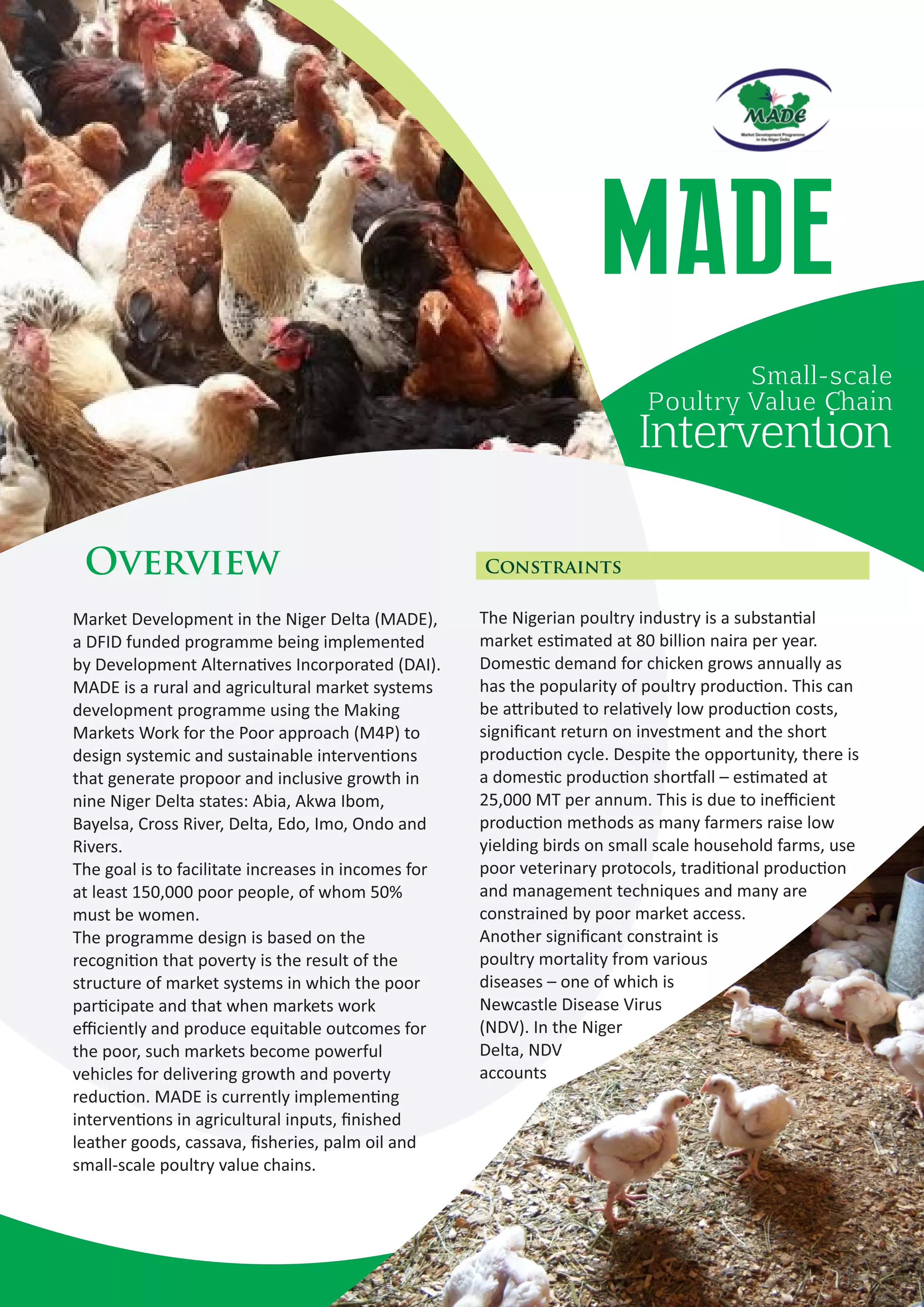 Small Scale Poultry Value Chain Intervention | PDF