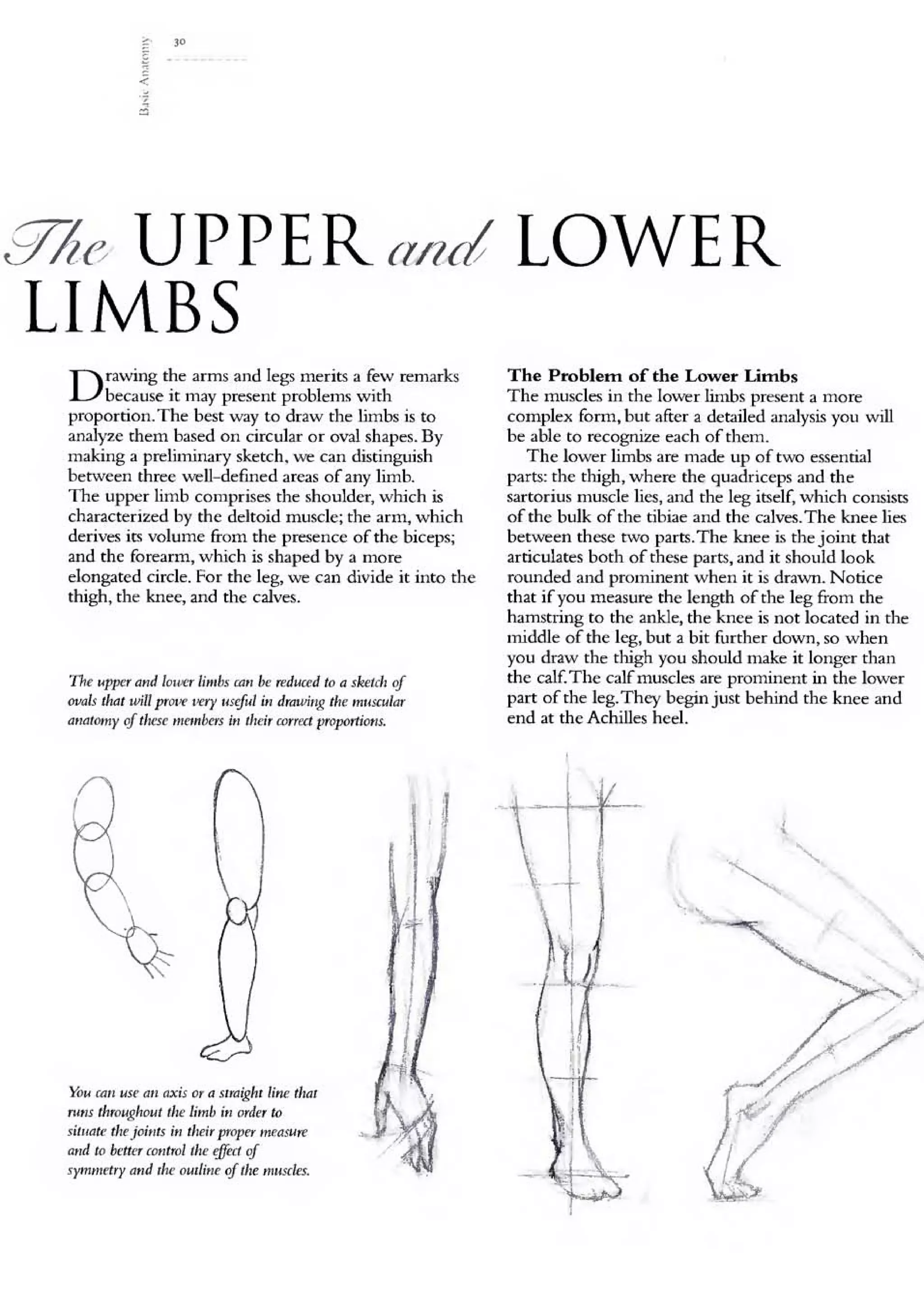 small-size-drawing-the-human-body.pdf