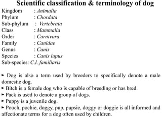 Small-Zoo-Lab-Animal-Medicine-Lecture-outline-1.pdf
