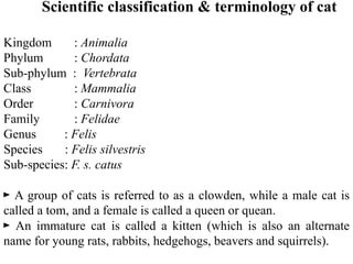 Small-Zoo-Lab-Animal-Medicine-Lecture-outline-1.pdf | Veterinary ...