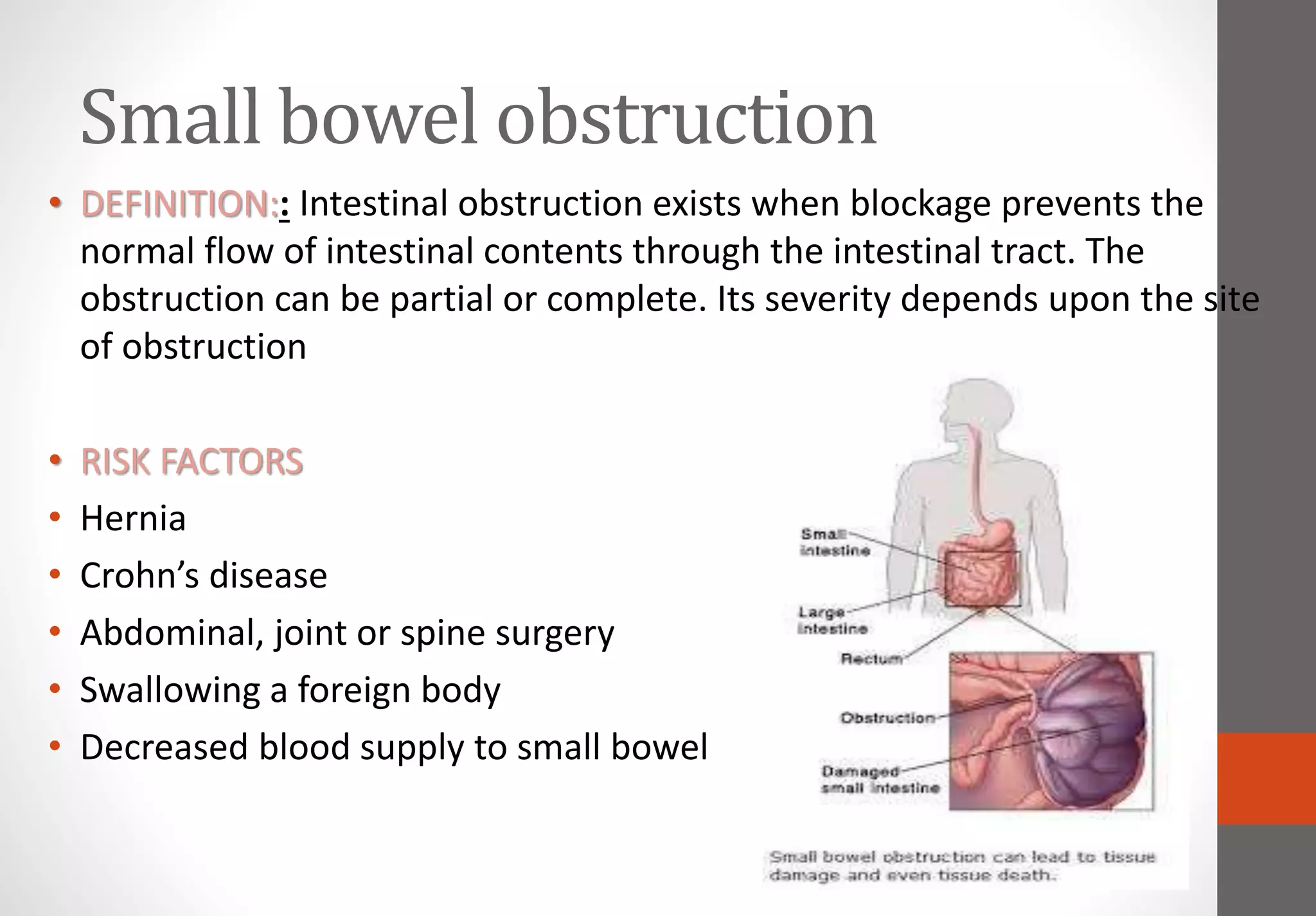 Presentation on small intestine disorder | PPTX