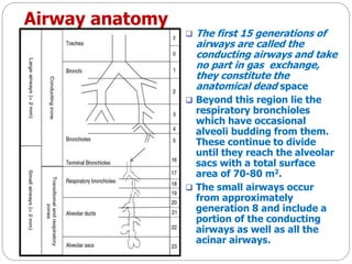 Small airways 2 | PPTX