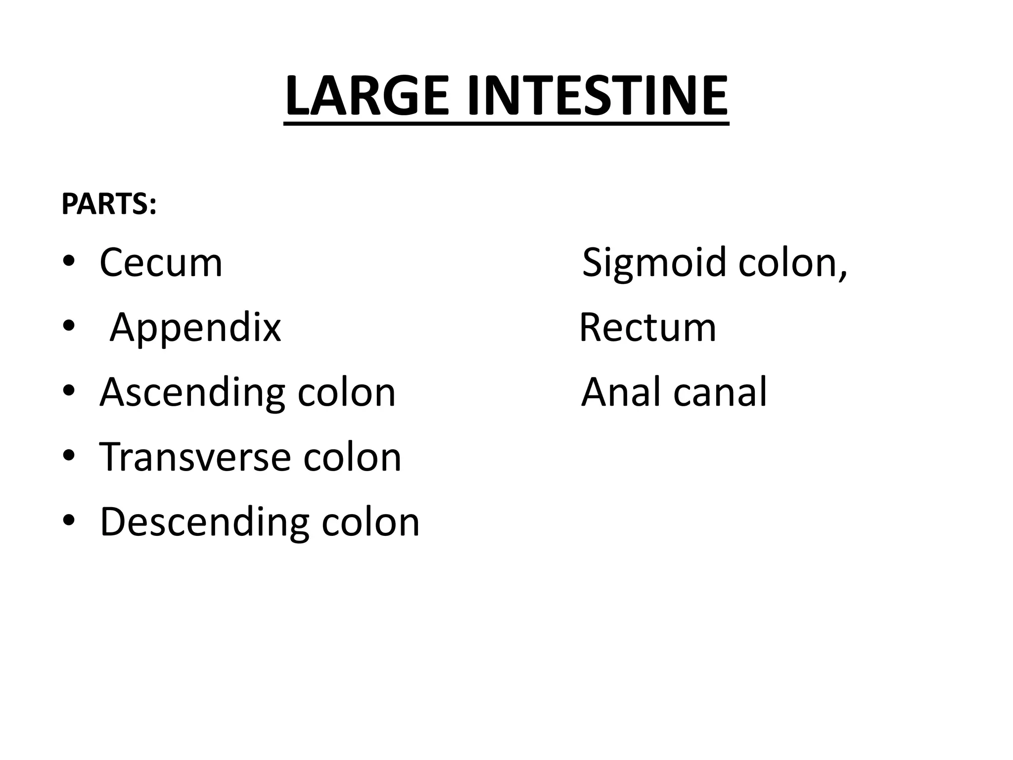 Anatomy of small and large Bowel PPT.pptx
