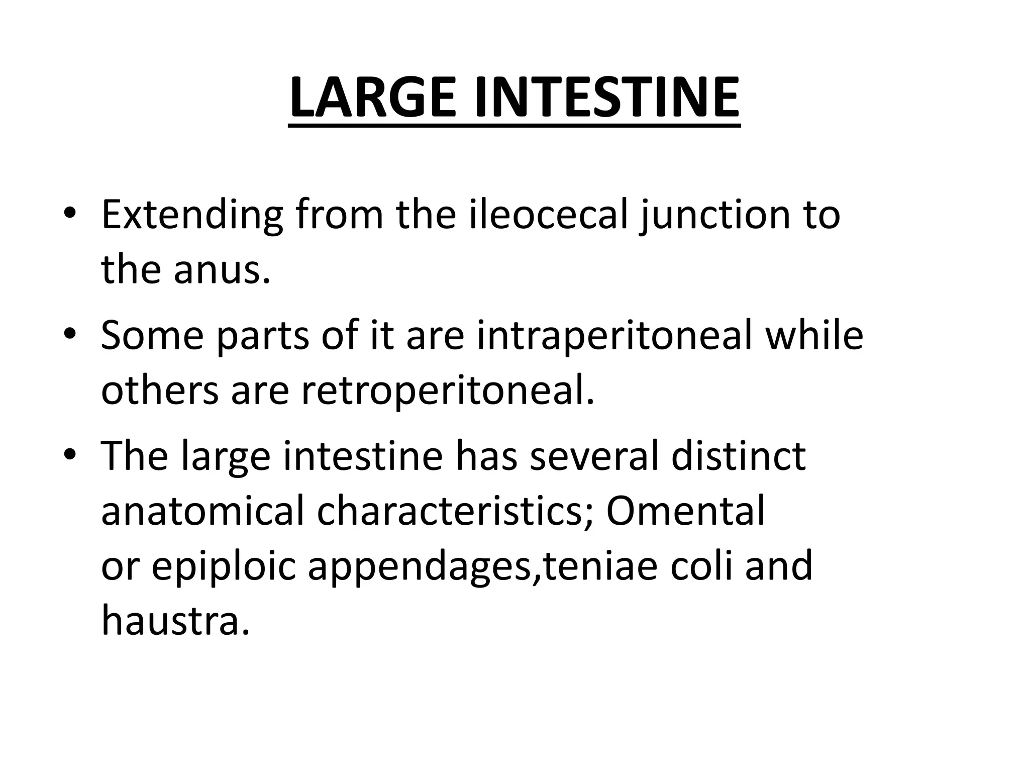 Anatomy of small and large Bowel PPT.pptx