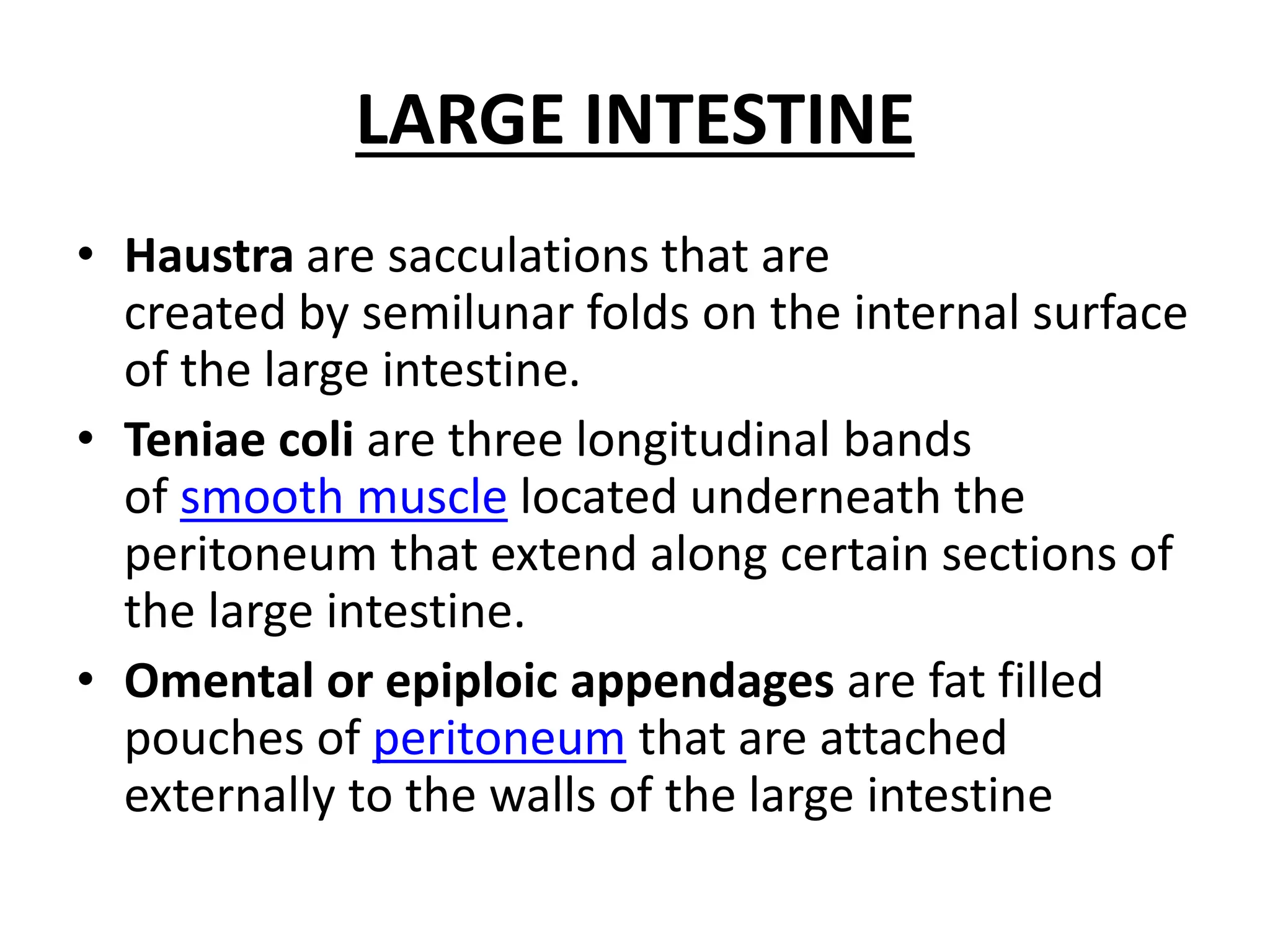 Anatomy of small and large Bowel PPT.pptx
